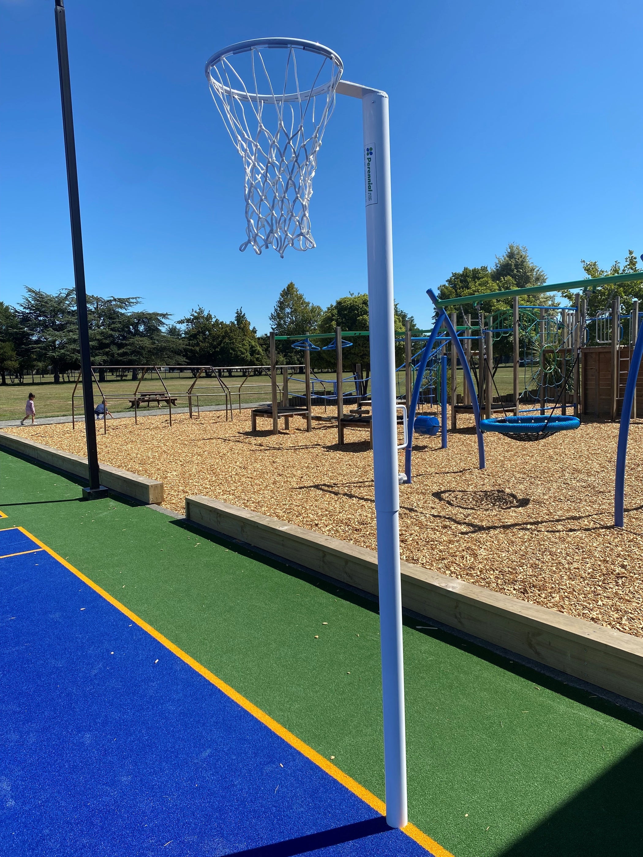 In-Ground Netball Goal — Perennial Sport & Turf