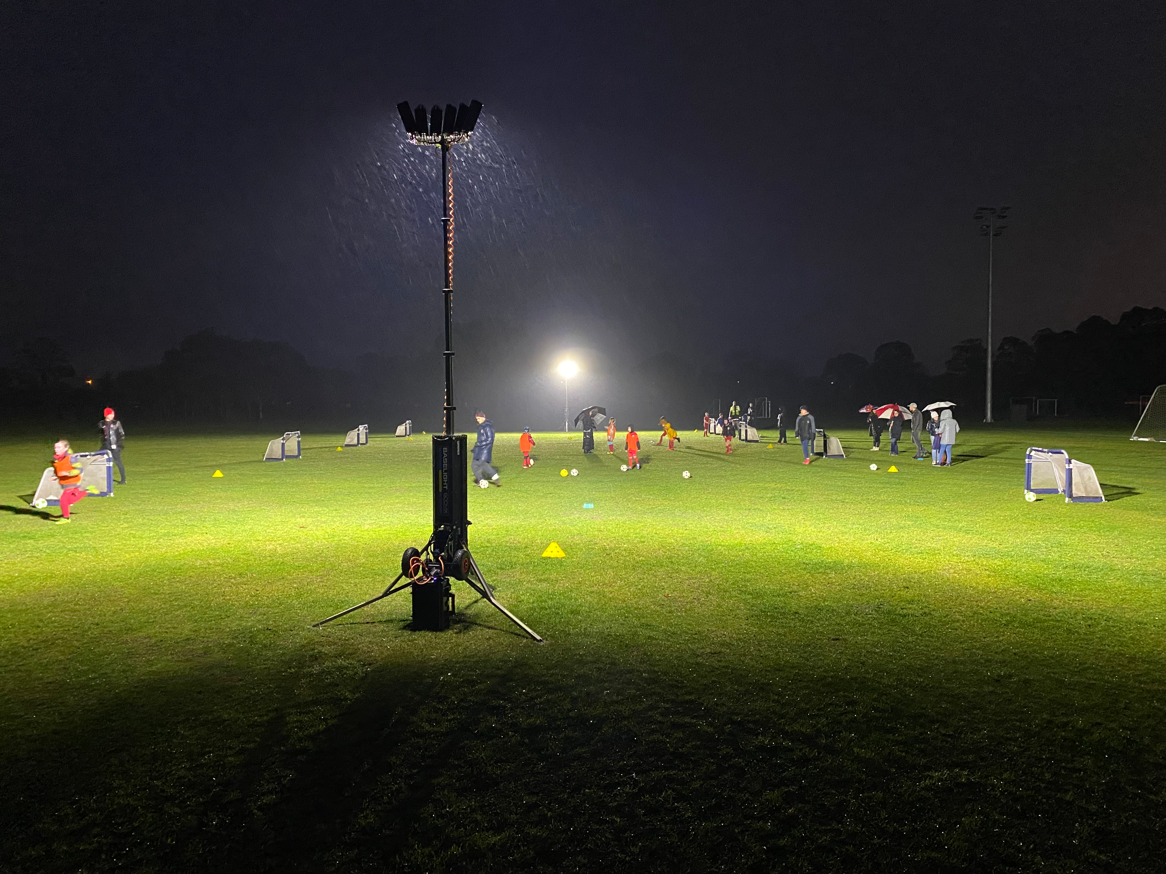 Baselight — Perennial Sport & Turf