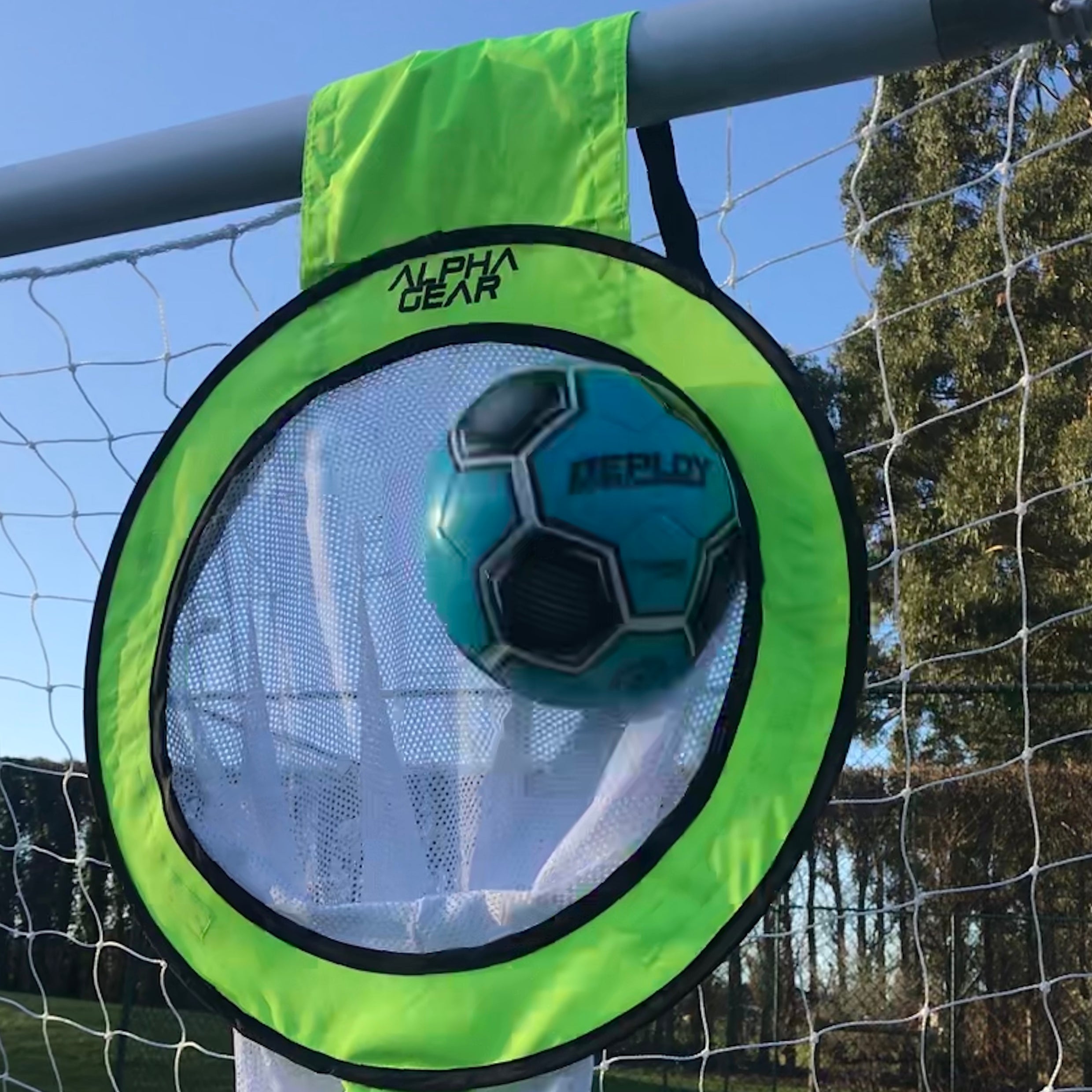Perennial Sport and Turf — Perennial Sport & Turf