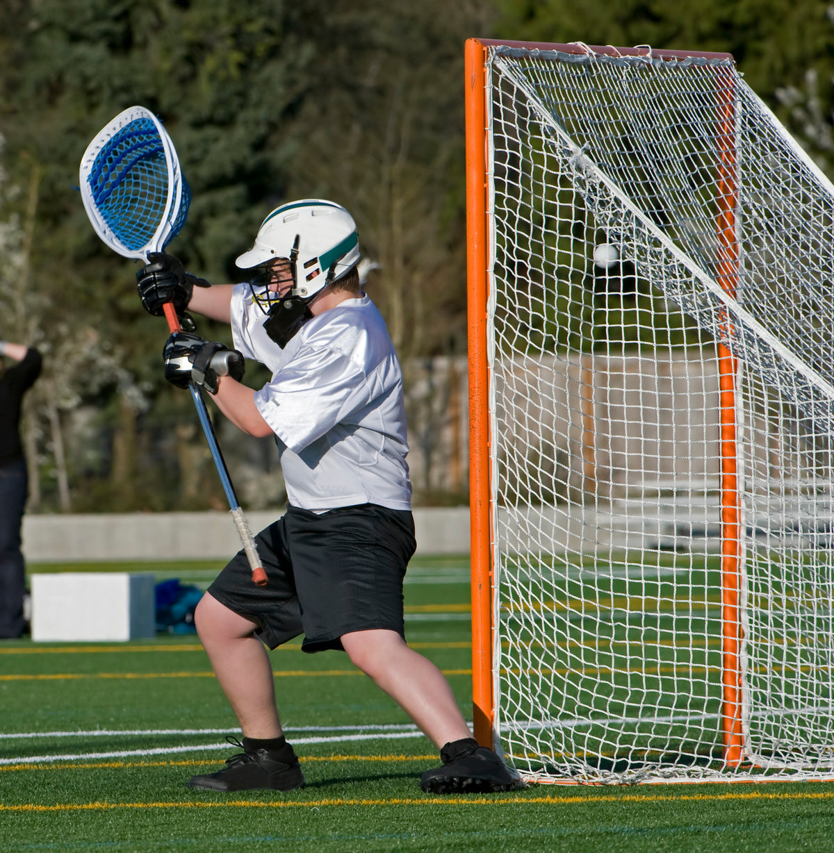 Lacrosse Net — Perennial Sport & Turf