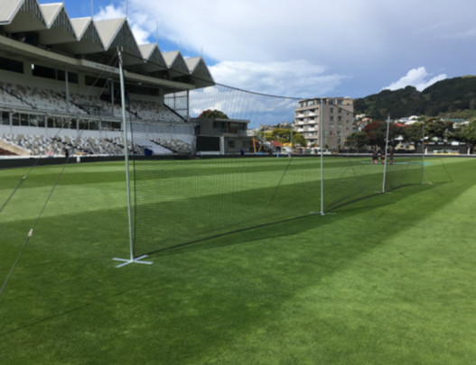 Cricket — Perennial Sport & Turf