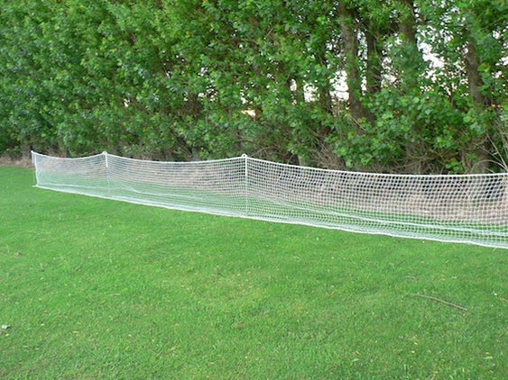 Cricket — Perennial Sport & Turf