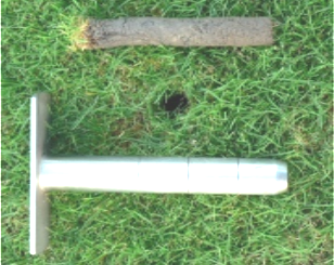 Core Sampler — Perennial Sport & Turf