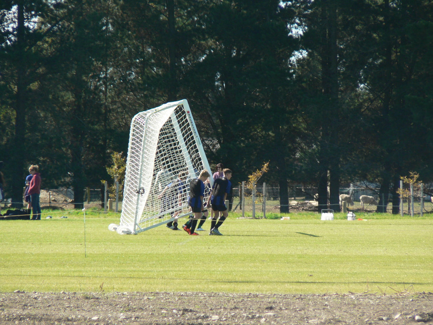 Football — Perennial Sport & Turf