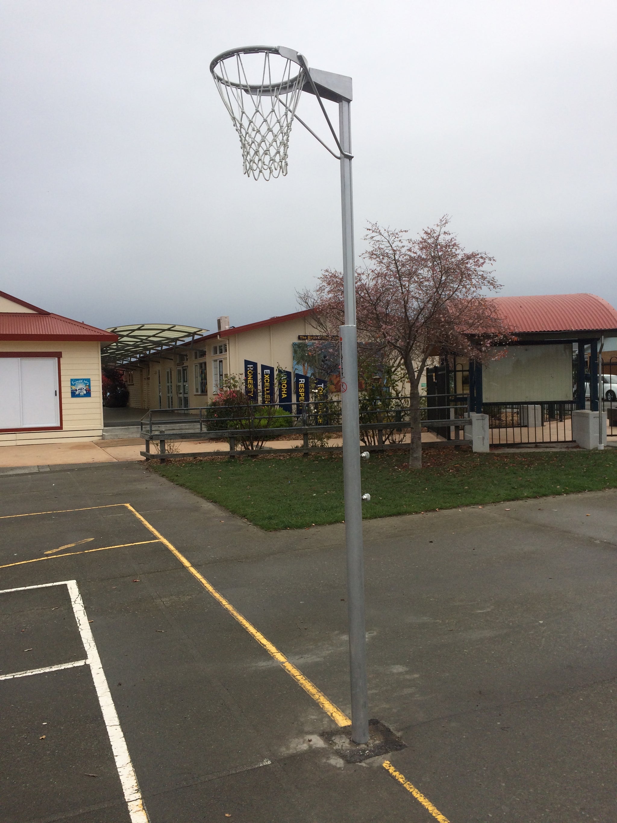 Netball — Perennial Sport & Turf