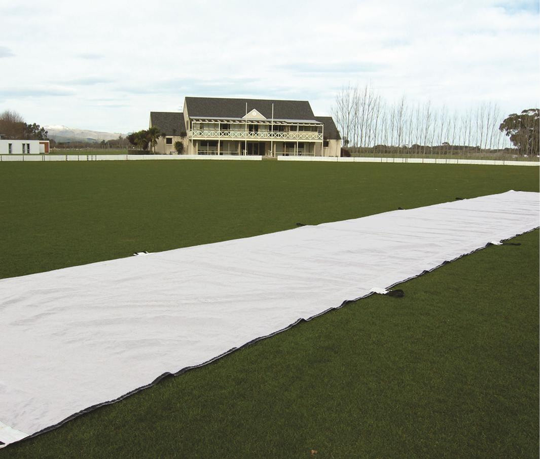 Cricket — Perennial Sport & Turf